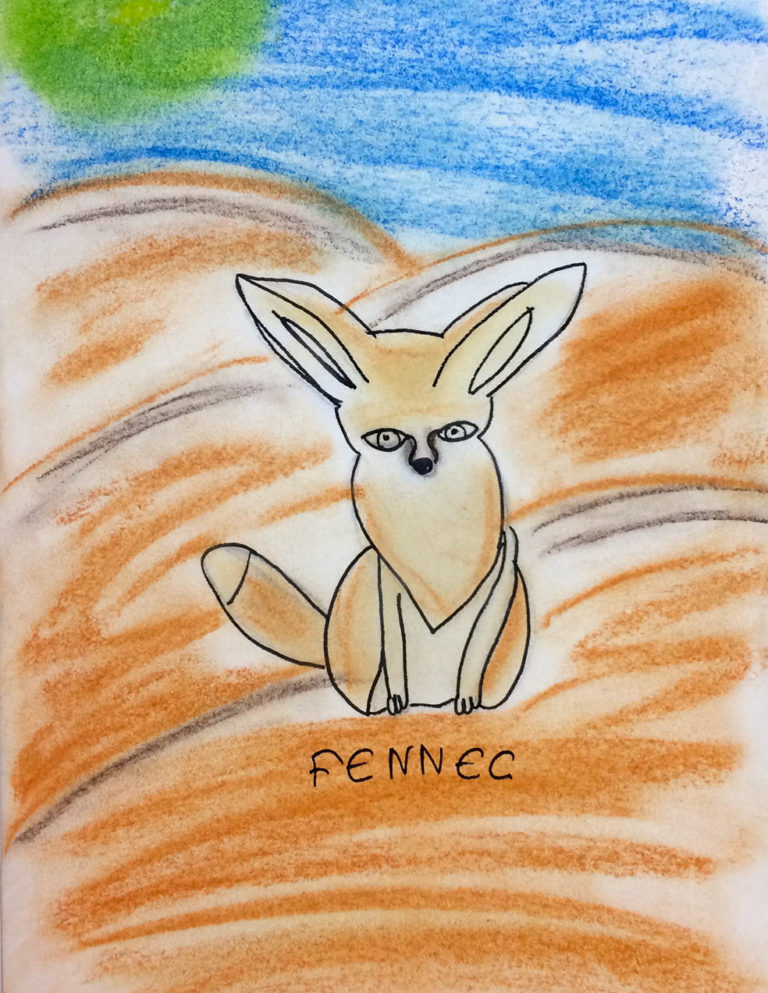 Le fennec de Lilie M. | 12 ans – Graffitigre