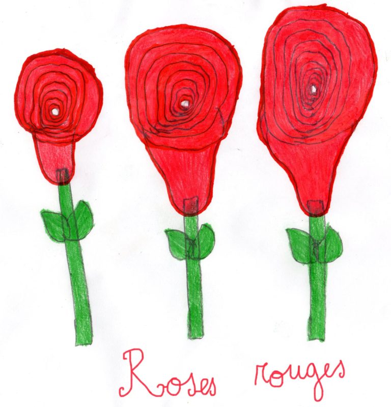 roses-rouges-Claudinha-28-ans-imagier-graffitigre-dessins-enfants ...