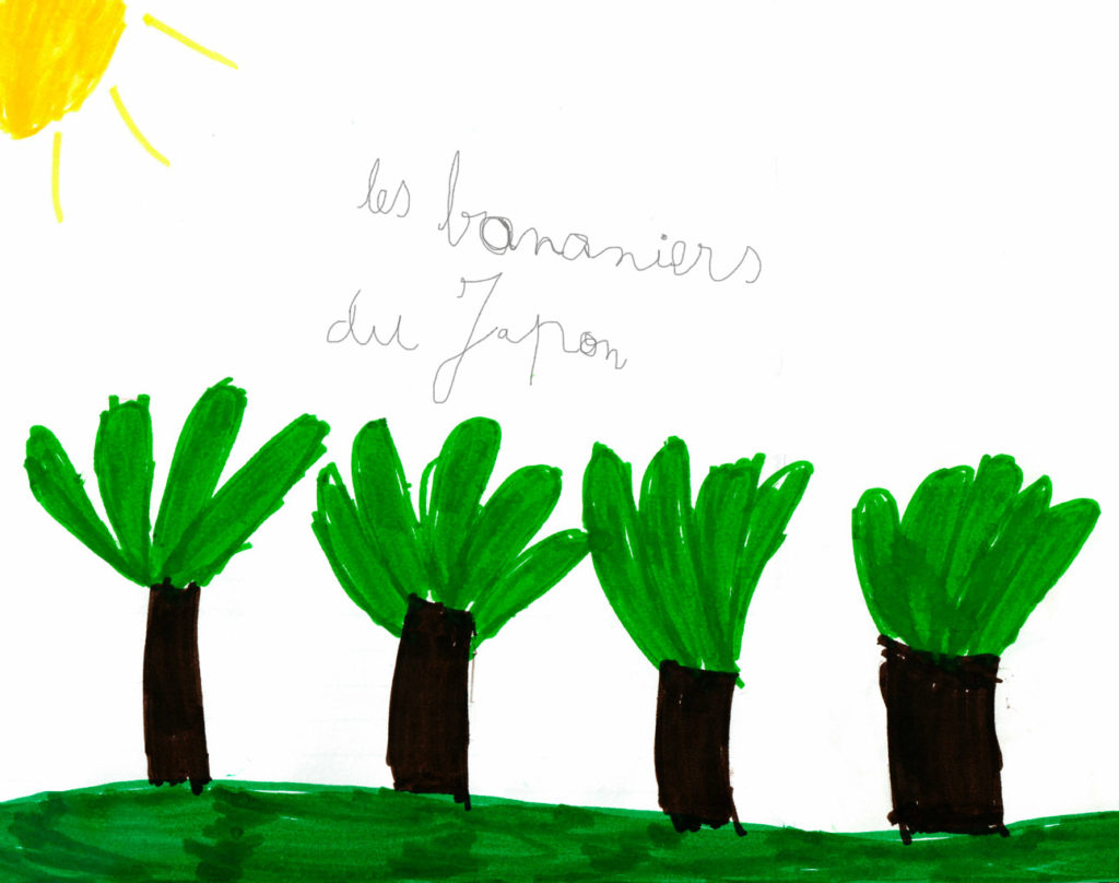 Les bananiers du Japon de Capucine | 7 ans – Graffitigre Les bananiers du Japon de Capucine | 7 ans – Graffitigre
